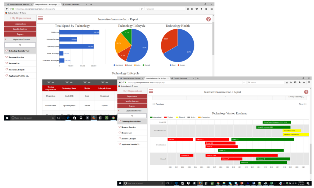 Application Portfolio Management Archive - Enterprise Evolver-An App to ...